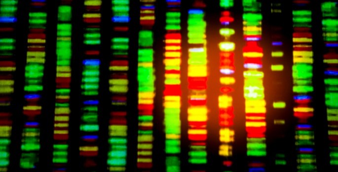 Study helps clarify components of DNA ‘copy machine’ - VUMC News