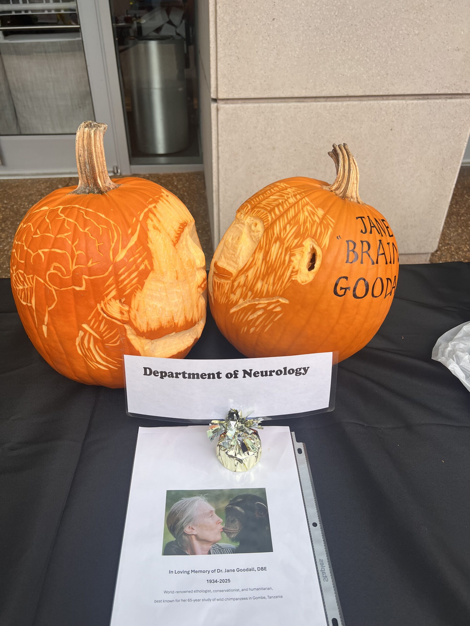 2025 Pumpkin Carving Contest winners announced - Vanderbilt Health