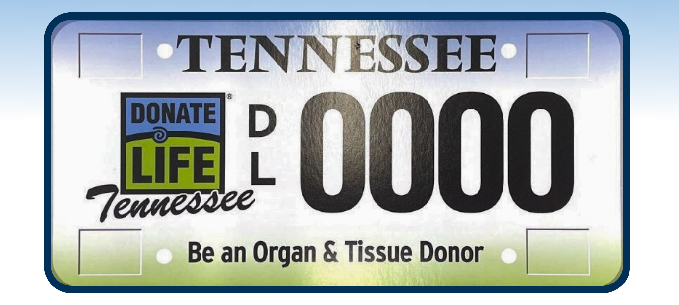 Buying a new license plate could save a life — if enough people buy ...