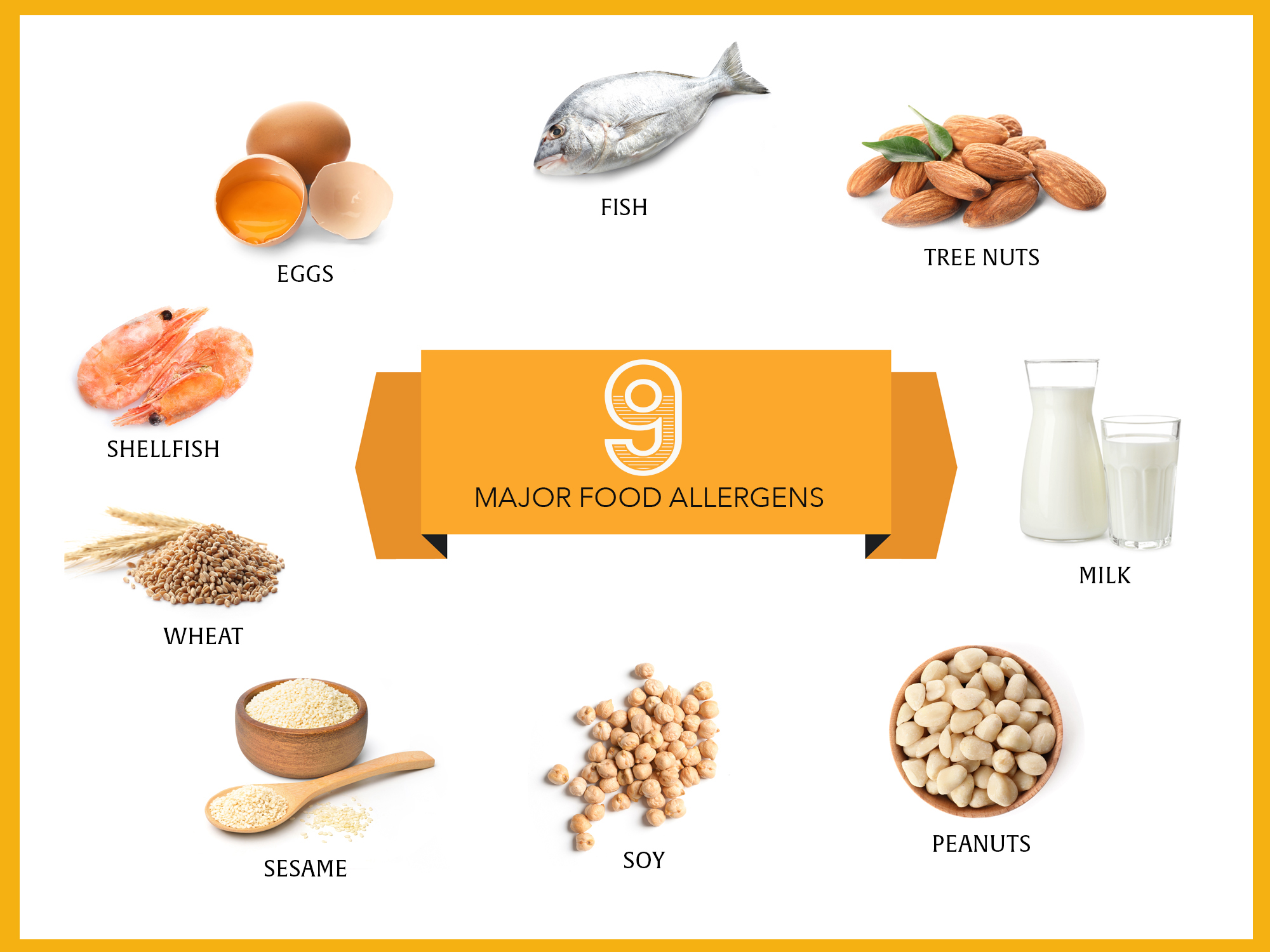 Take the challenge to experience what it’s like to live with food ...