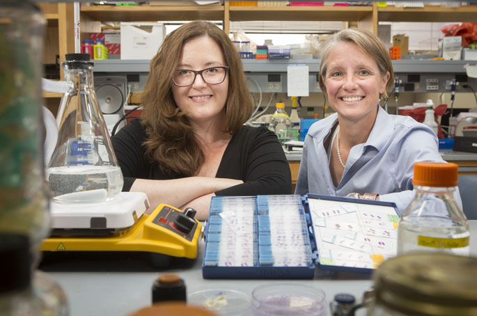 Study reveals role for stem cells in chronic lung diseases - VUMC News