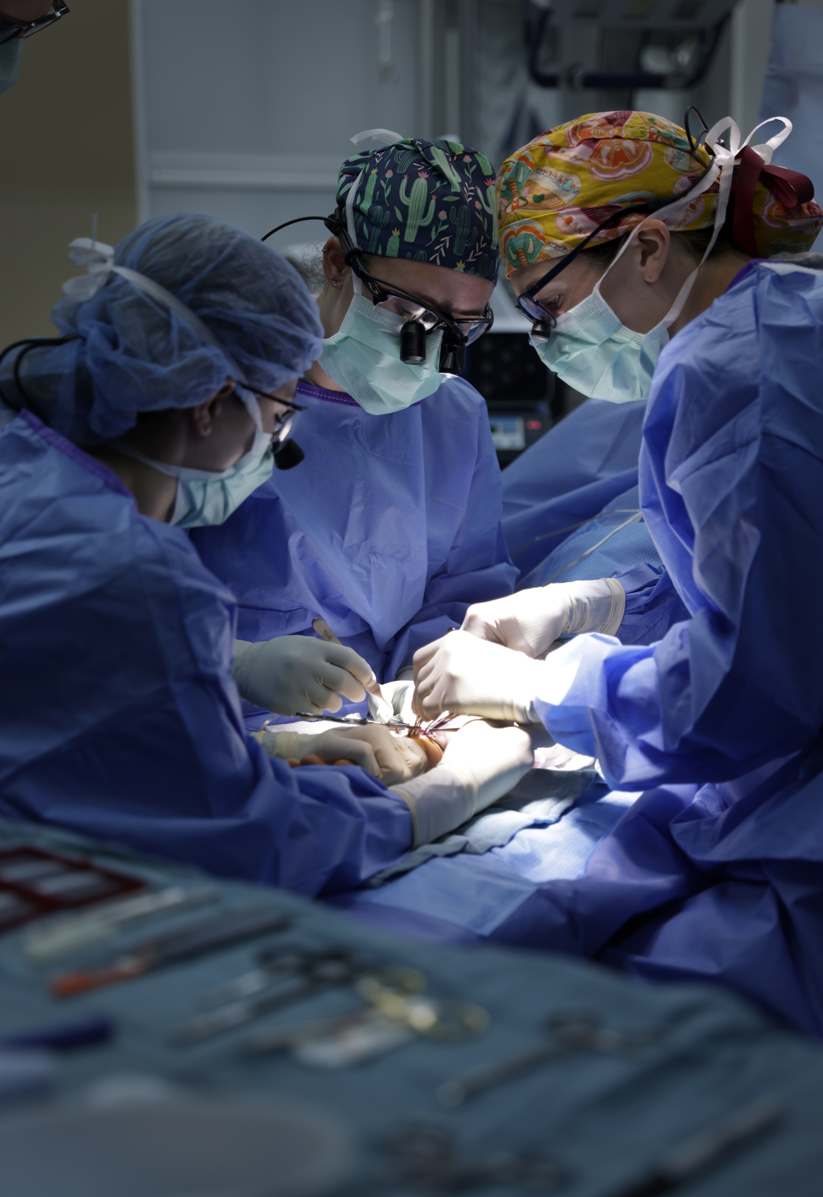 Joint effort: Annual VUMC event provides free orthopaedic surgeries ...