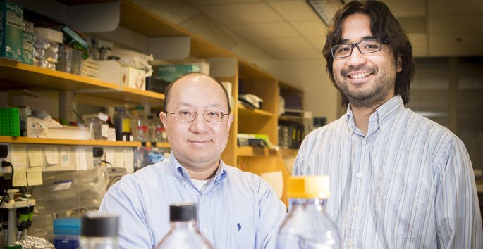 Program gives undergrads from Peru lab experience - VUMC News