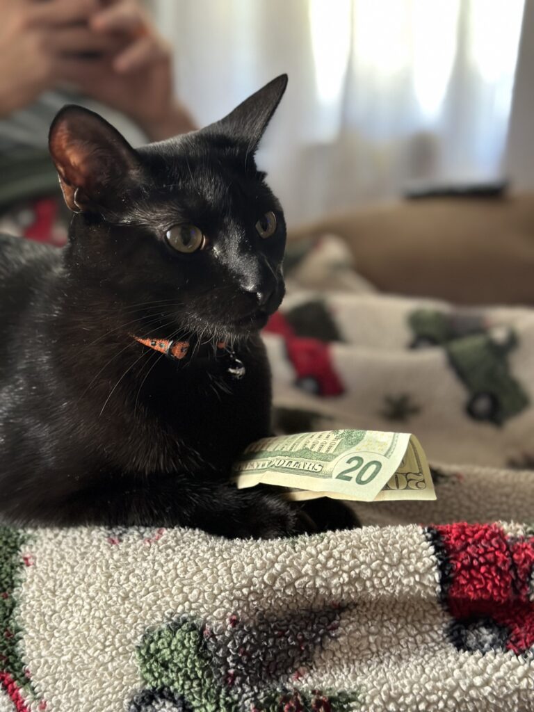 VUMC Pets of the Day: Princeton and Knox - VUMC News