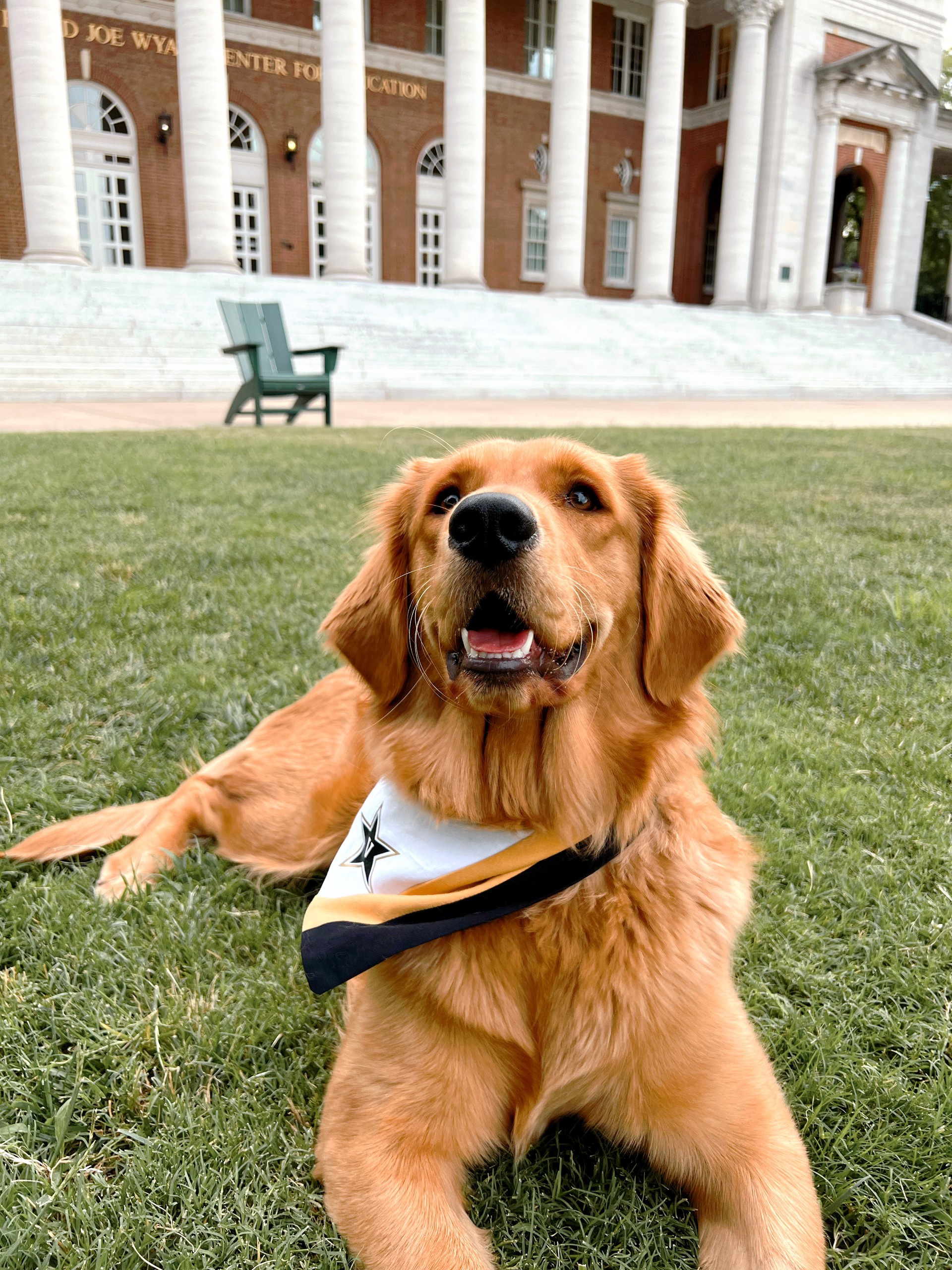 VUMC Pets of the Day: Maple and Lily - Vanderbilt Health News