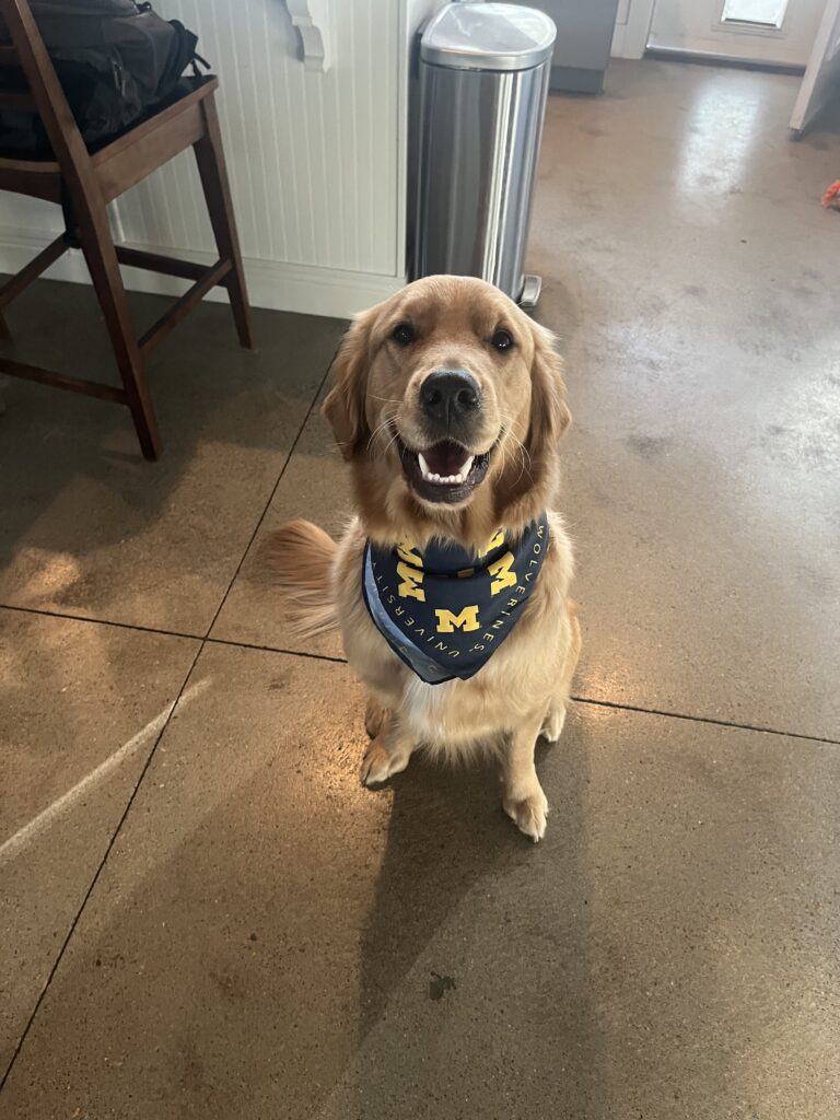 VUMC Pets of the Day: Willow and Charlie - Vanderbilt Health News