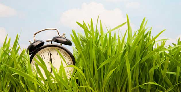 Spring forward this weekend; Get tips on surviving the seasonal time ...