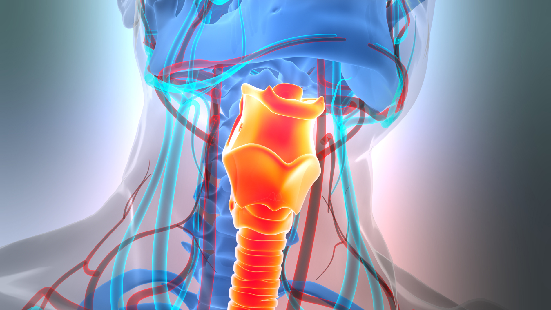 Thinking outside the (voice) box: VUMC surgeons have all the pieces in ...