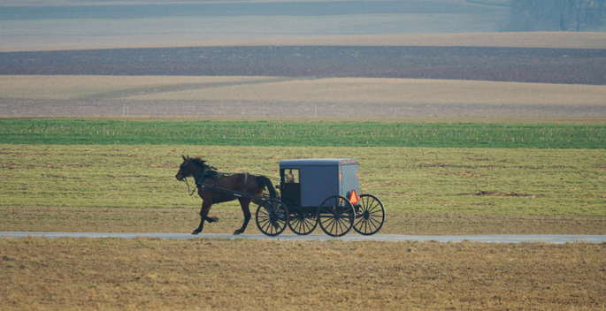 Amish aid study of Parkinson genetics - VUMC News