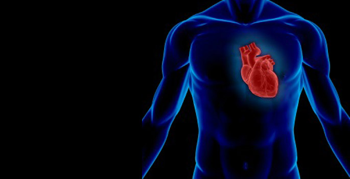 Heart transplant program among busiest in U.S. - VUMC News