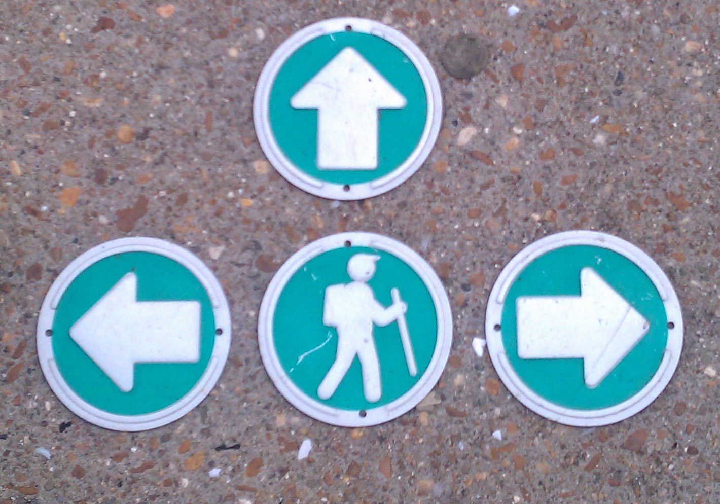 Health Plus Fit for Fall Step Challenge encourages walking - VUMC News